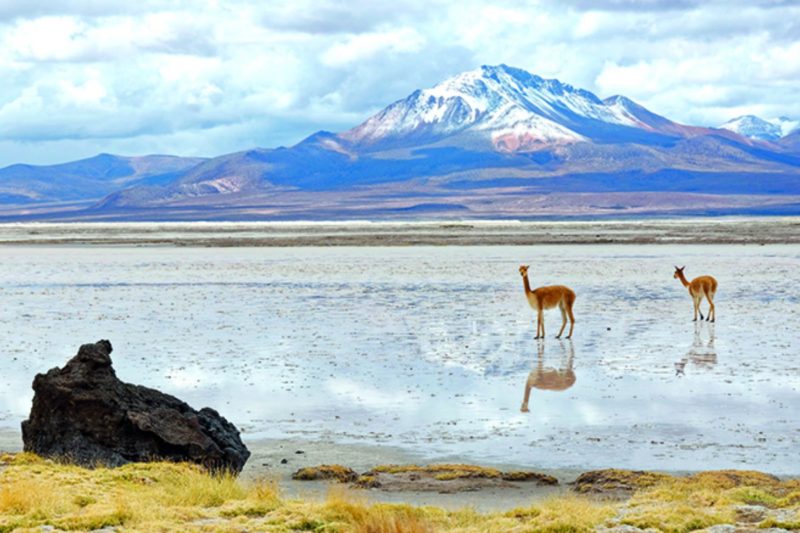 Norte de Chile, un paisaje único en Latinoamérica
